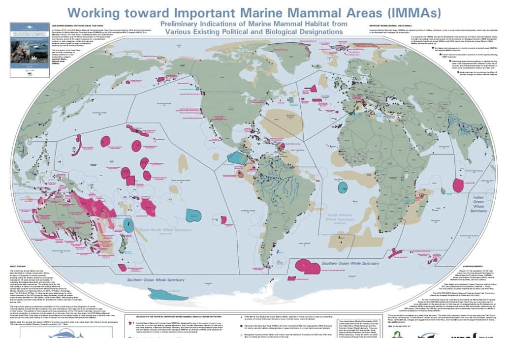 Working-Towards-IMMAs - Tethys Research Institute